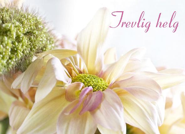 Trevlig helg ! | rperman