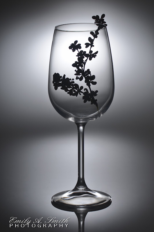 Emily A. Smith Photography: Studio Photography: Glass with Black Line