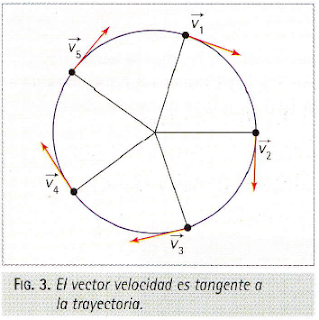 MOVIMIENTO CIRCULAR: La Velocidad en el Movimiento Circular