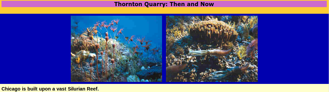 EMPEHI.blogspot.com: Thornton Quarry - Underneath Chicago is a Seabed ...