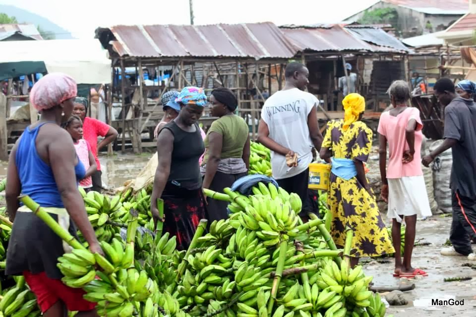 Eric Auguste-La Ville du Borgne Nord D Haiti