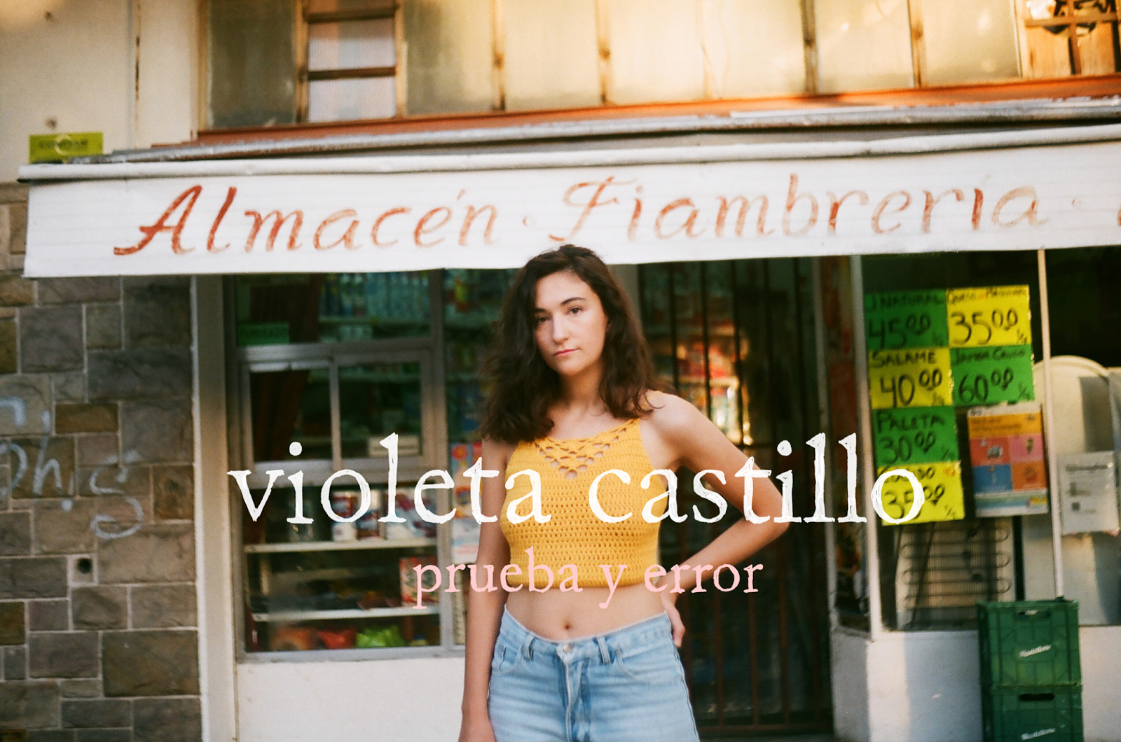 el amarillo: Prueba y error: una entrevista a Violeta Castillo