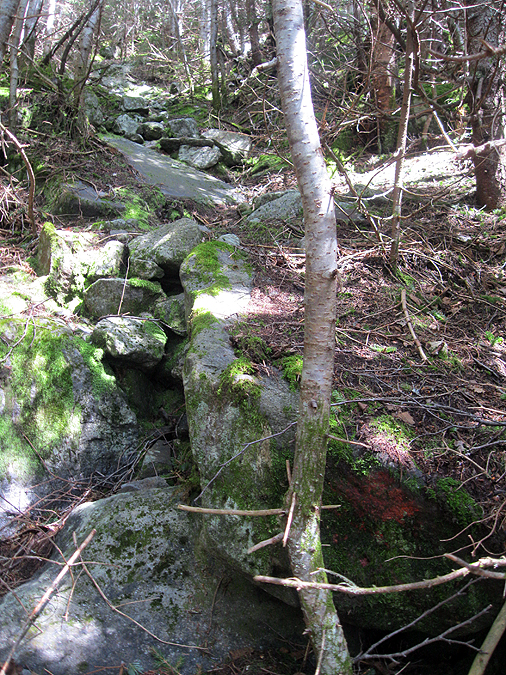 Hiking in the White Mountains: The Abandoned Adams Slide Trail