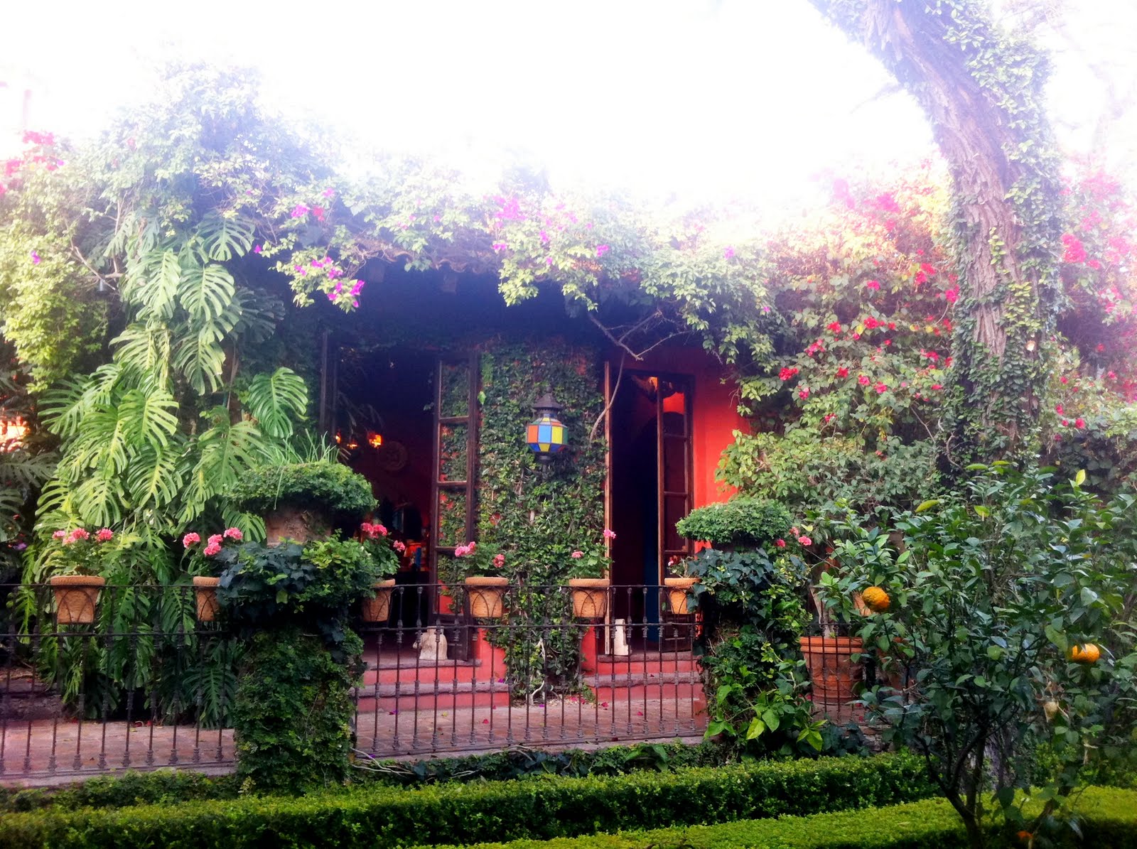 A HAWK FROM A HANDSAW: MEXI COLOR THEORY: CASA HYDER