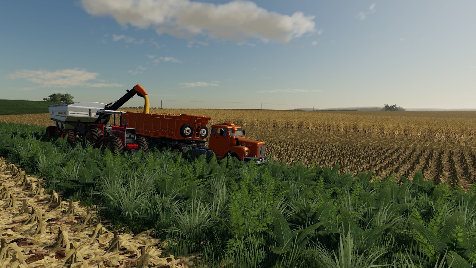 FAZENDA CONQUISTA FS19