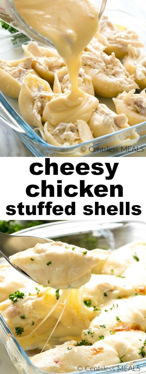 CHEESY CHICKEN STUFFED SHELLS RECIPE - NEWS RECIPES
