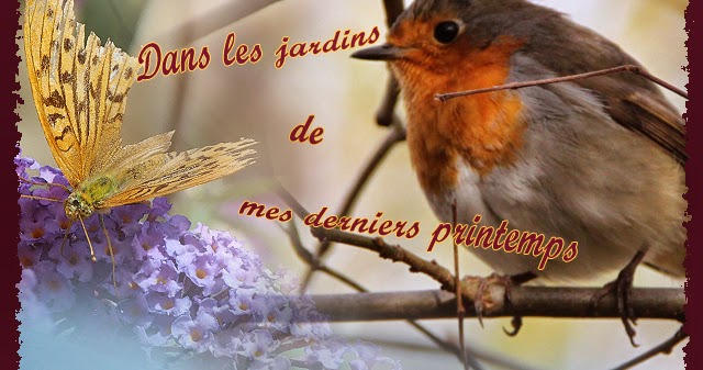 Au pays des images et des mots: Poème: Dans les jardins de mes derniers ...