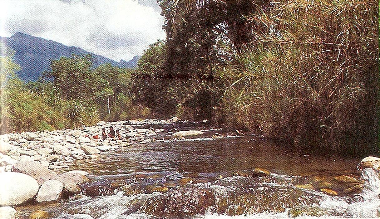 Lenin Cardozo - Entrevistas / Artículos / Videos: Comenzamos ...