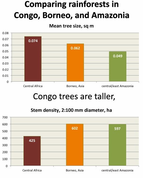 Tropical Rainforests in the Congo Basin