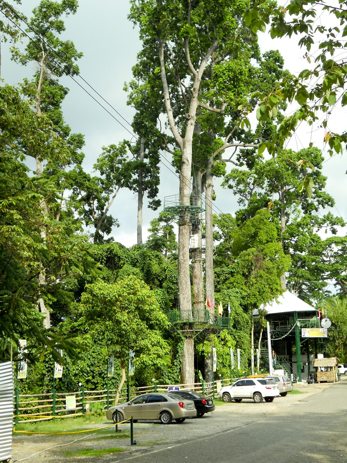 Virgilio Zeus Mendoza II - BUKIDNON NATIVE BACKPACKER TRAVELLER- : Mt ...