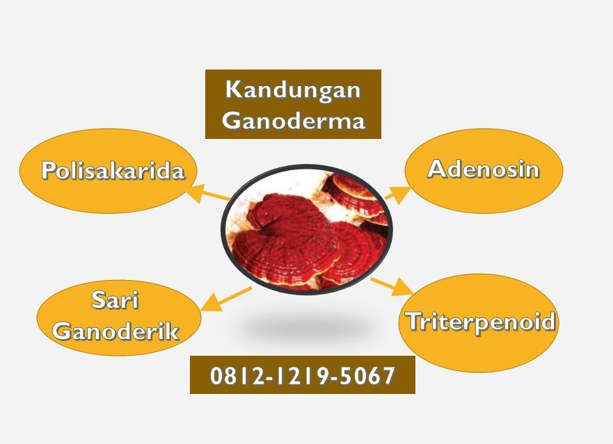 Jual RGGL 270 DXN Gainer Penambah Masa Otot di Jakarta rggl90,rgg270 ...