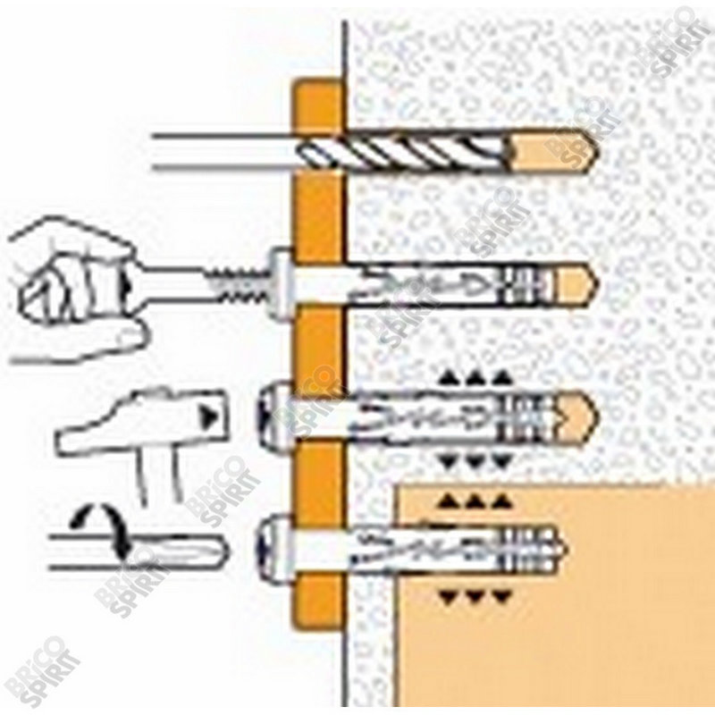 French Vocabulary Illustrated: cheville