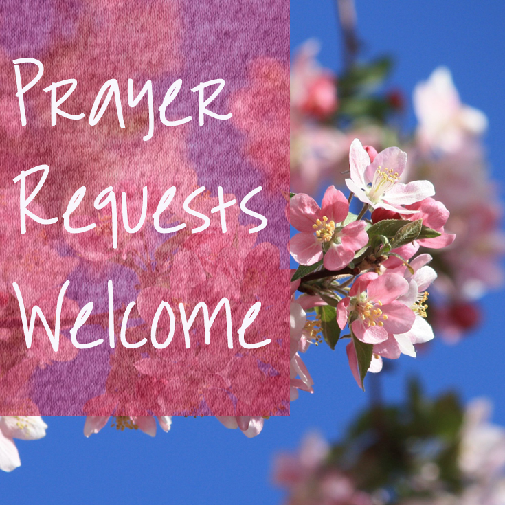 Pursued by Truth: Prayer Requests Welcome....