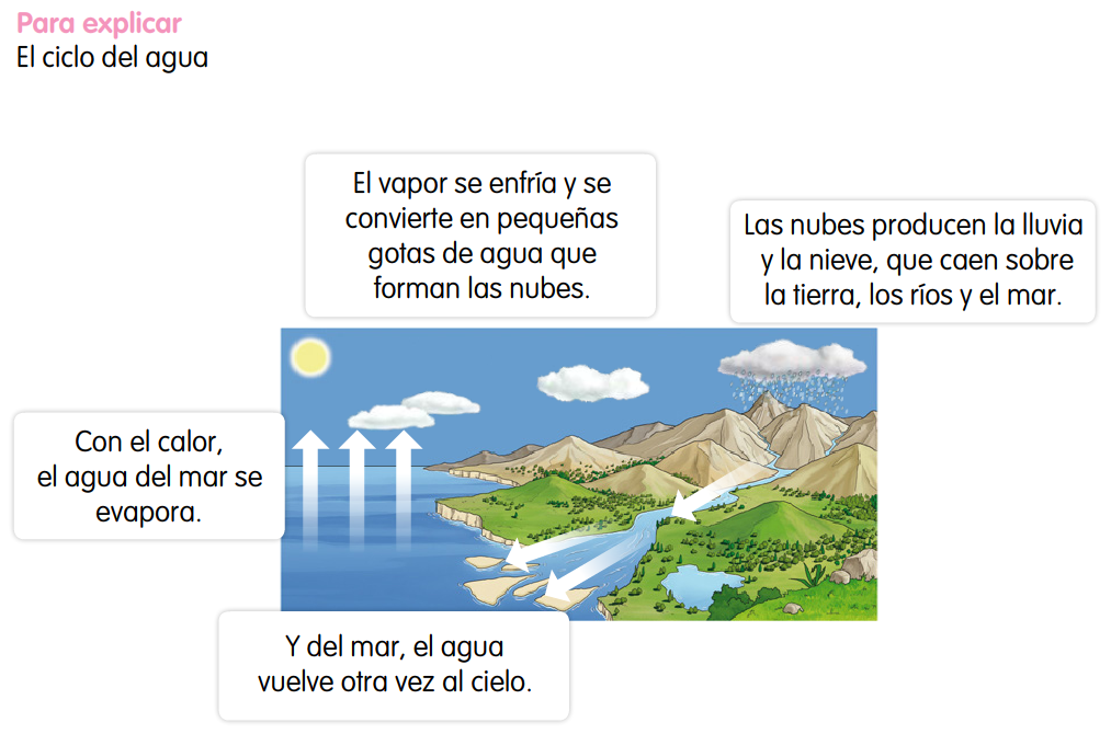 EL BLOG DE SEGUNDO: EL CICLO DEL AGUA