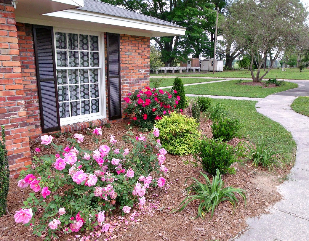 Cultivate Create: Spring Curb Appeal