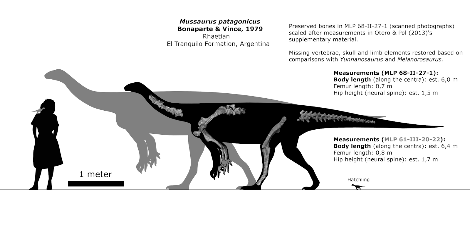 Extinct Animal of the Week: The Mouse Lizard