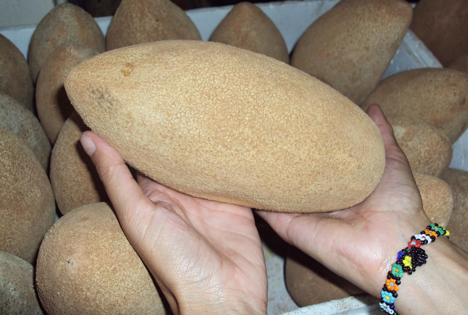 Don Lechon : REFRESHING EXOTIC FRUITS IN MEXICO