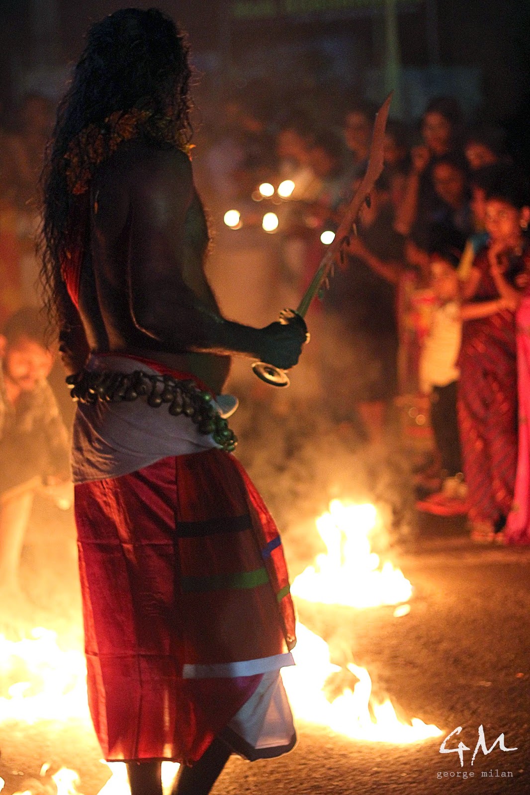 My Frozen Collection: Shades of Life