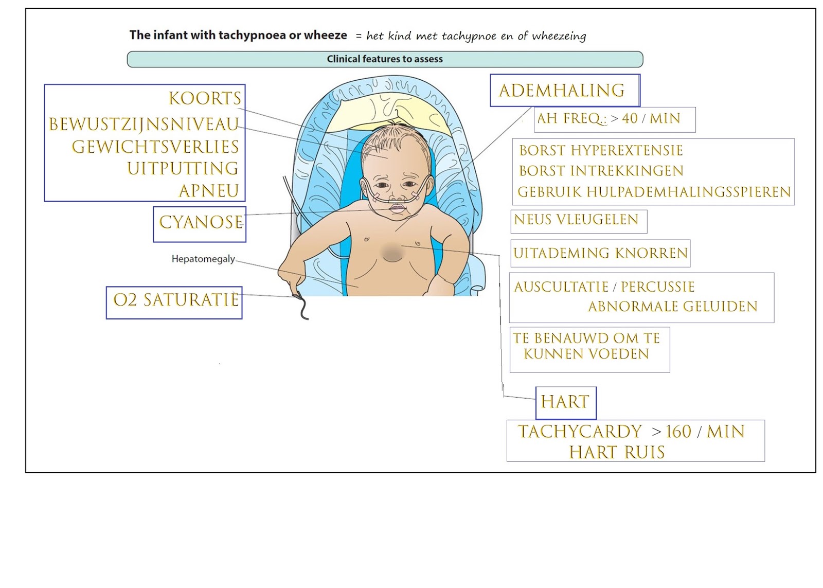 Het kind met tachypnoe en of wheezing - Acute Zorg Blog