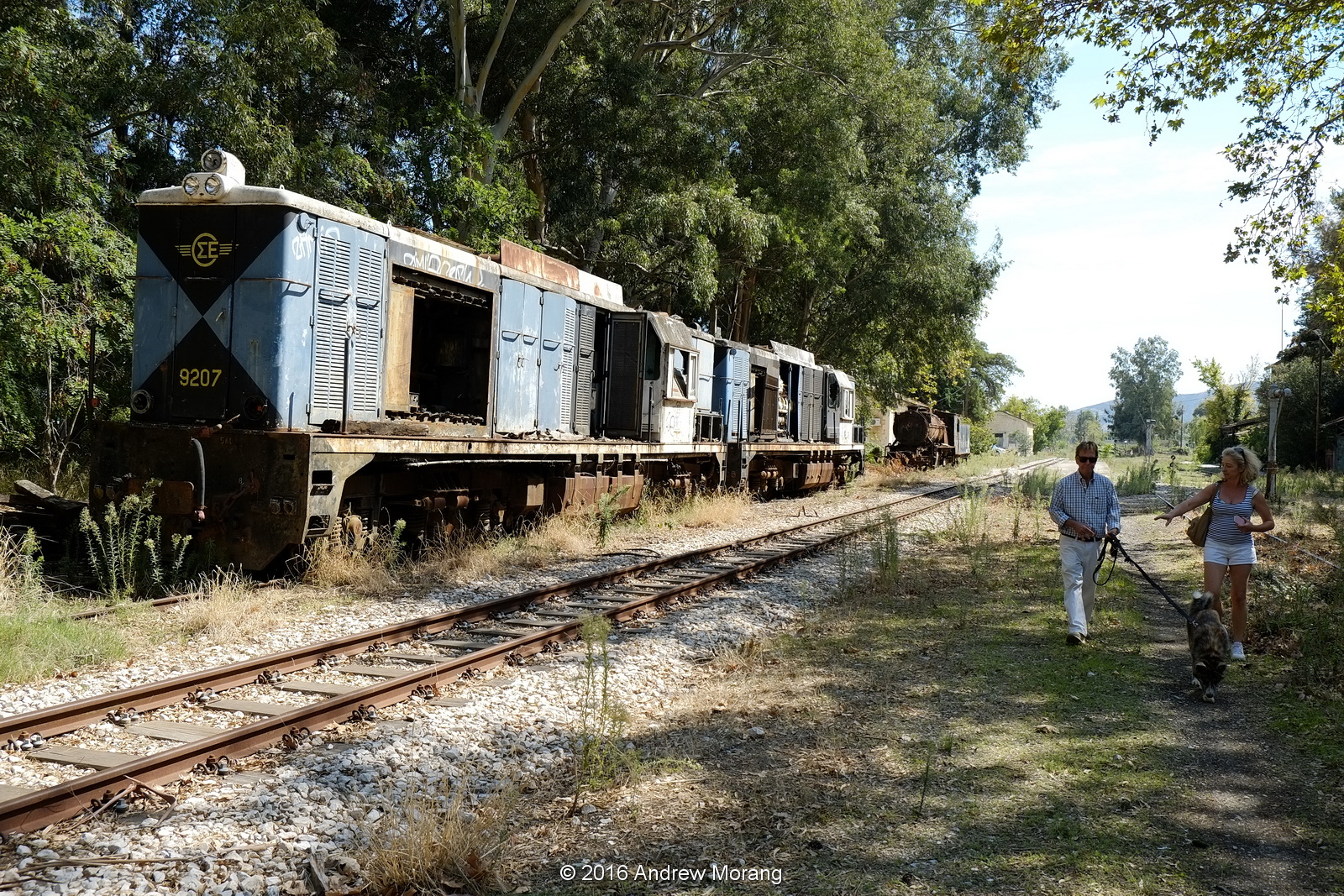 Urban Decay: Railroads of Greece 6: Abandoned Steam Trains, Myloi