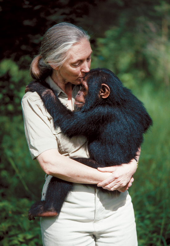 6word Portraits: 6word Portrait: Jane Goodall