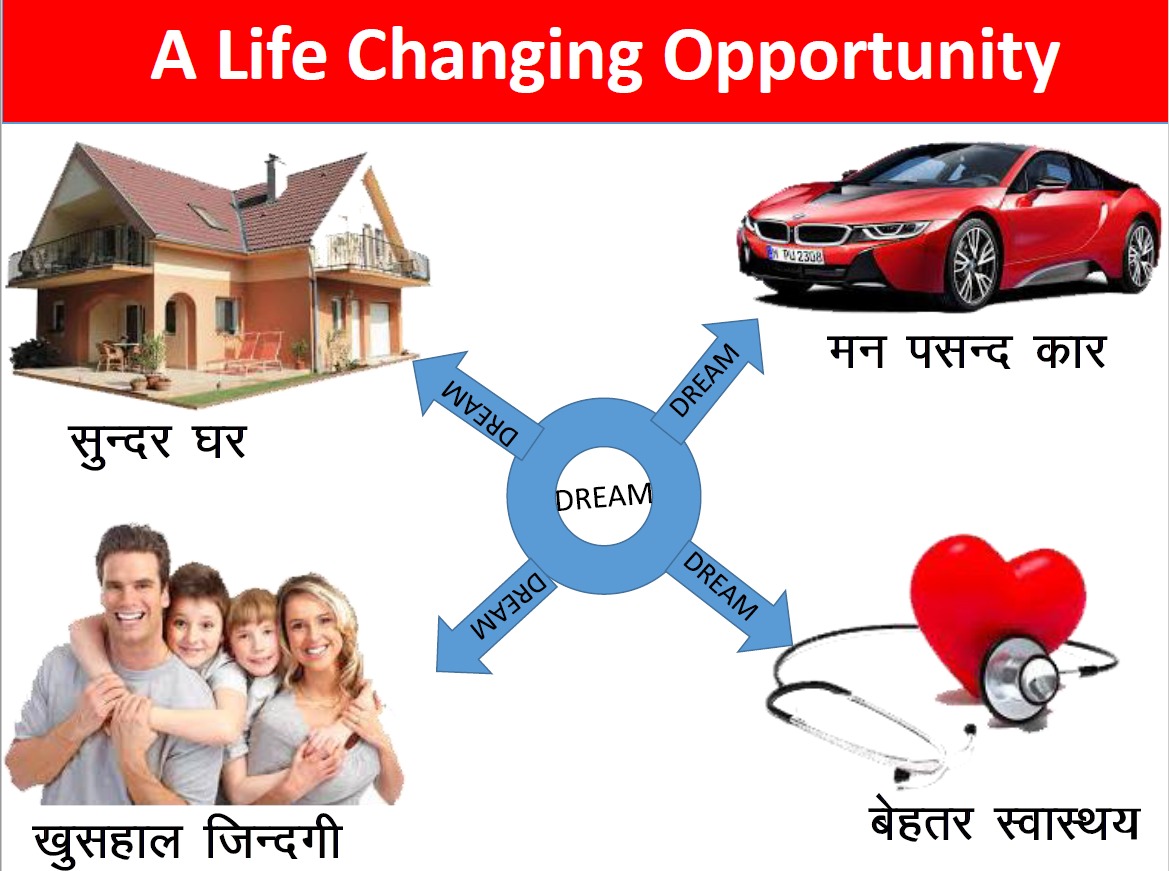 mi Lifestyle business Plan presentation PDF File