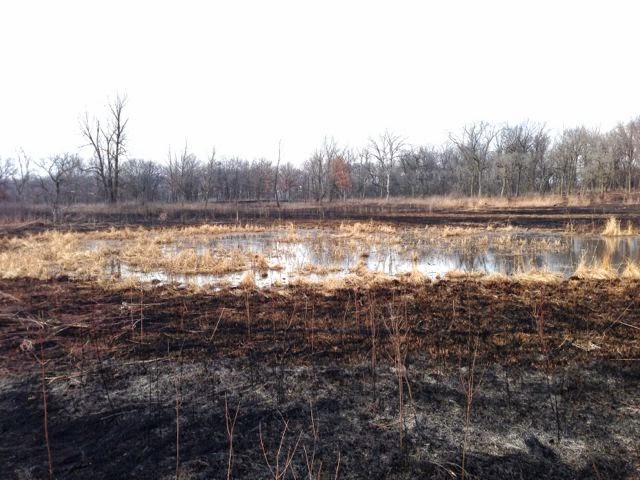 Strategies for Stewards: from woods to prairies : Spring Burn 2014: how ...