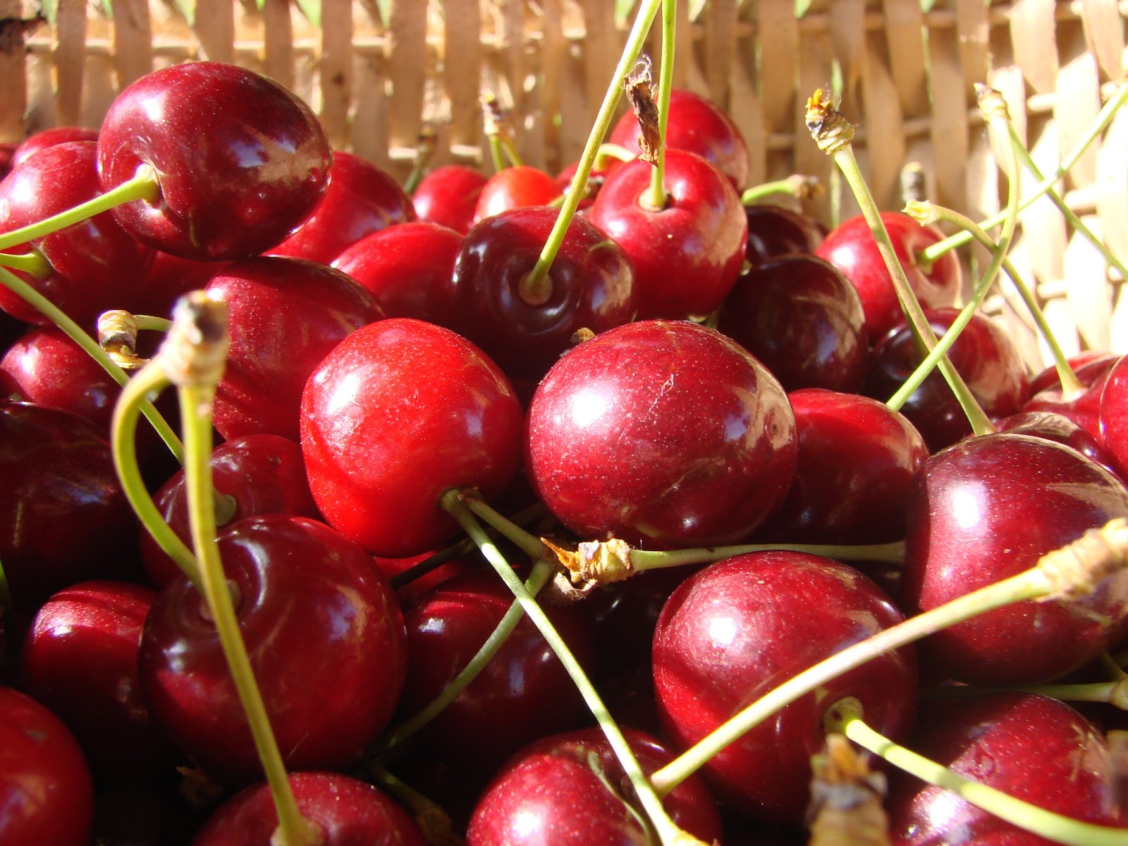 Au jardin d'Aurore: cette semaine au jardin