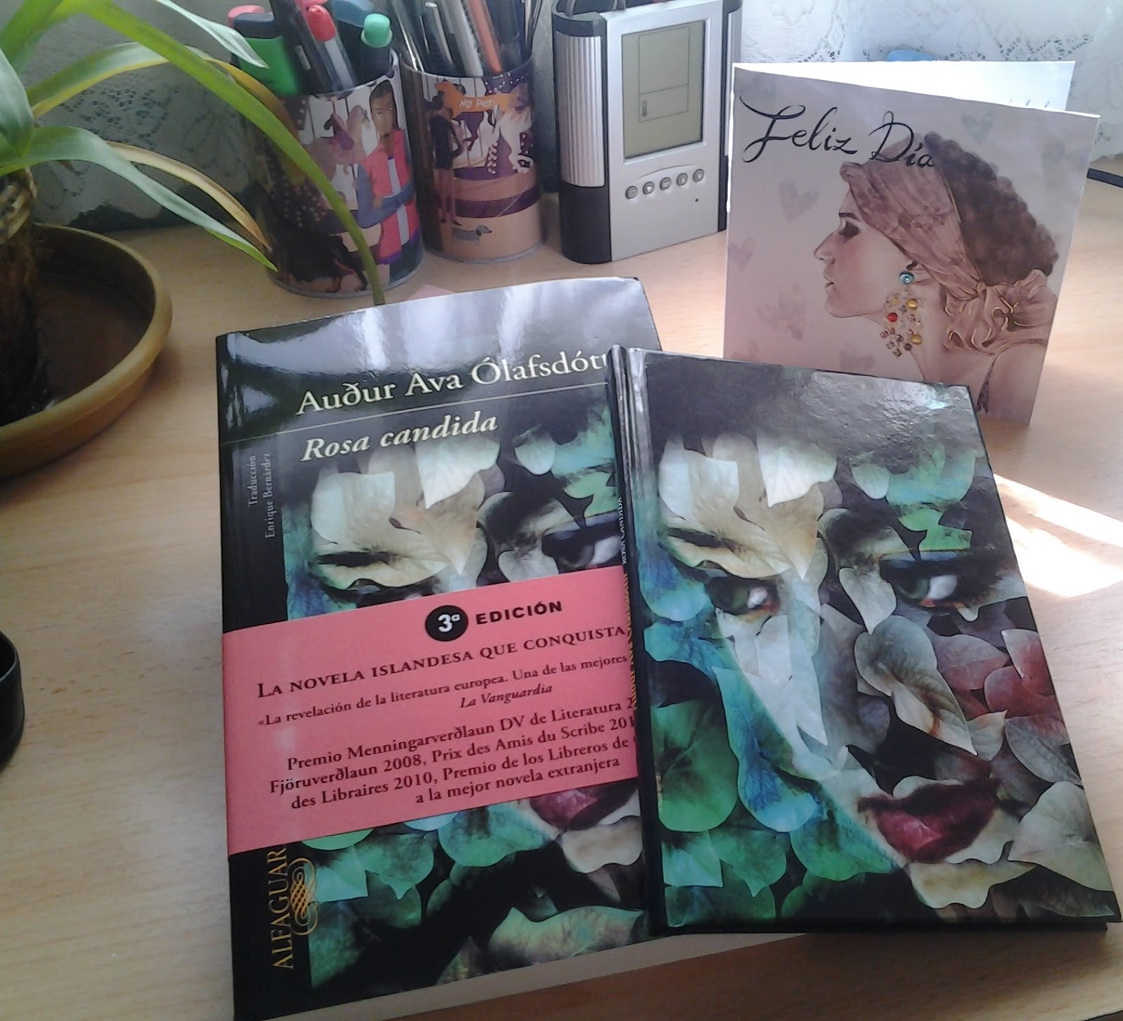 Estas noches frías: "ROSA CANDIDA", de Auður Ava Ólafsdóttir