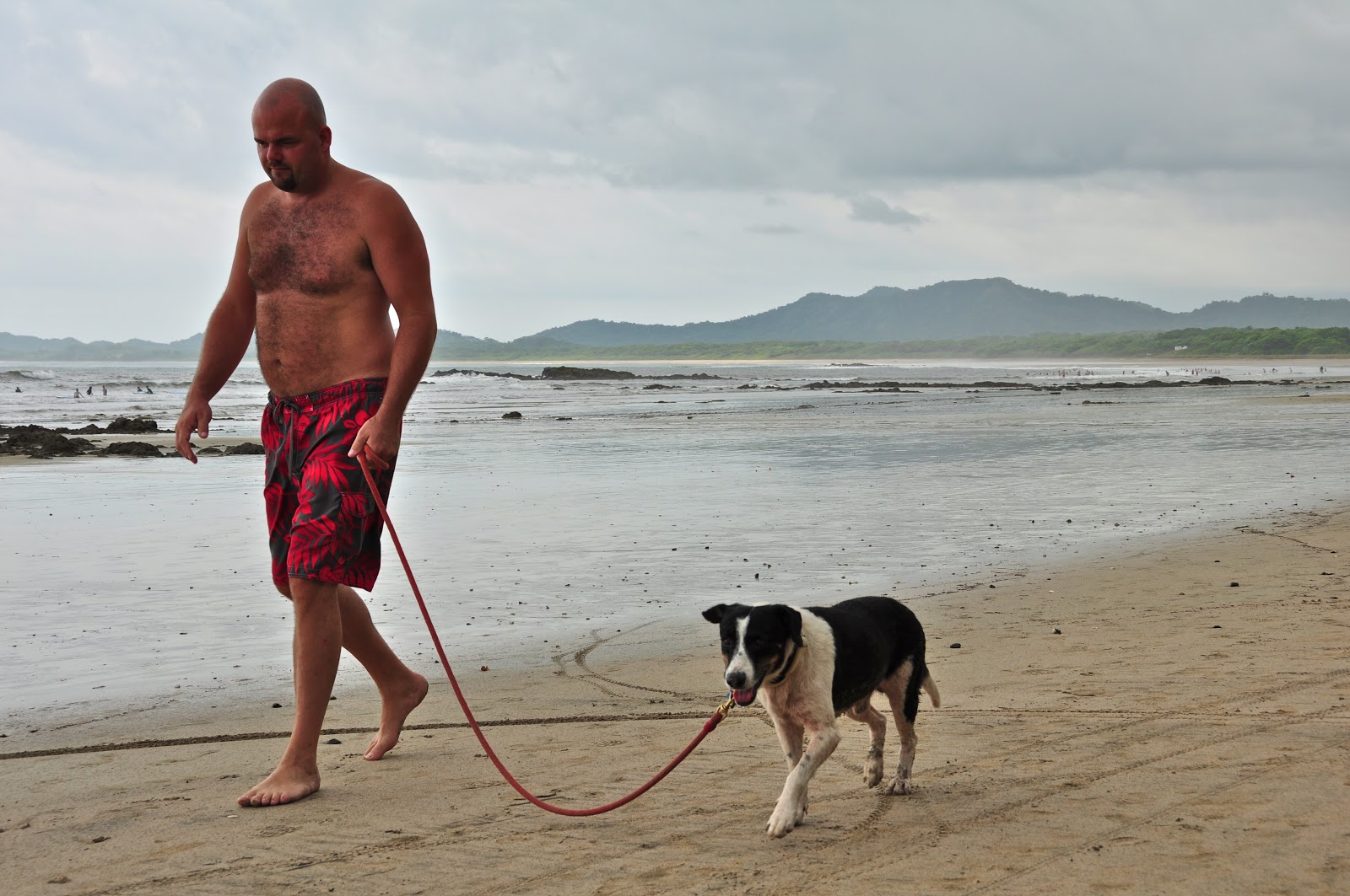Tamarindo, Costa Rica Daily Photo: Man walking his dog along the beach