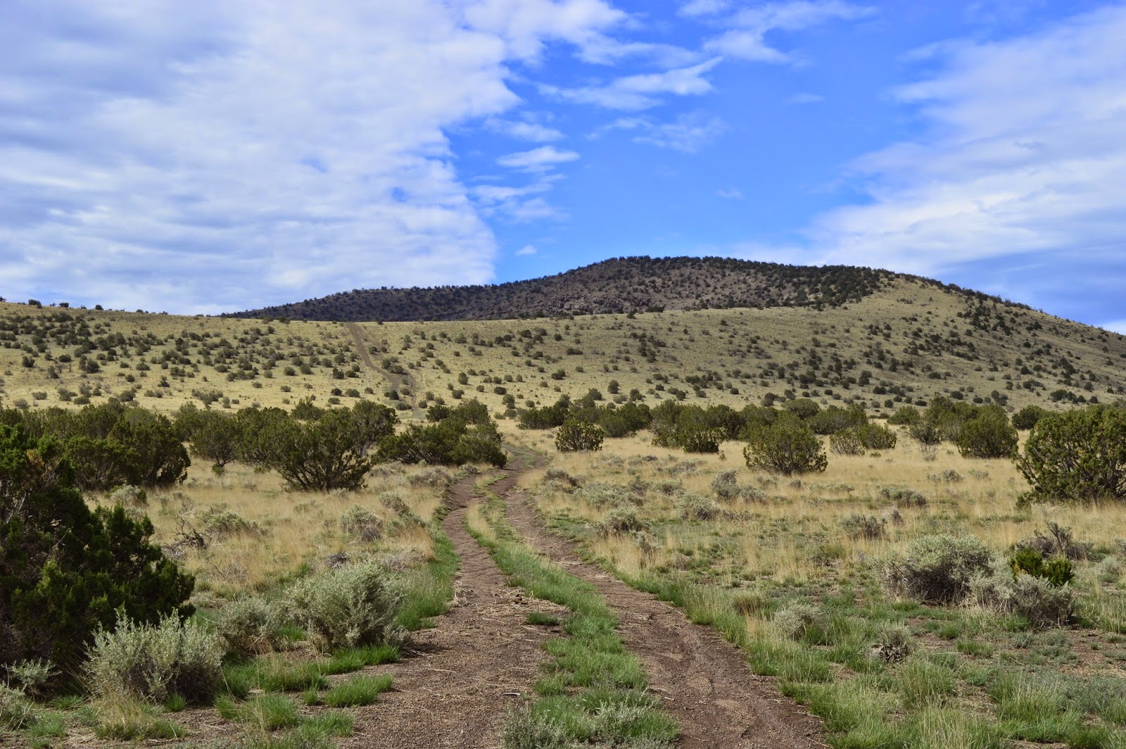 Mark Thomas - Geology: COLTON CRATER STEAM ERUPTION