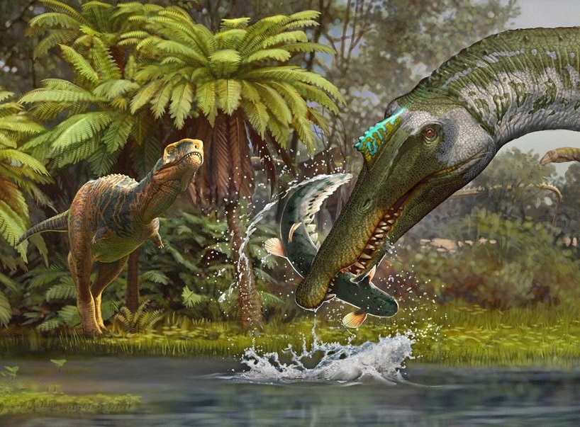 Species New to Science: [Paleontology • 2016] Morphofunctional Analysis ...