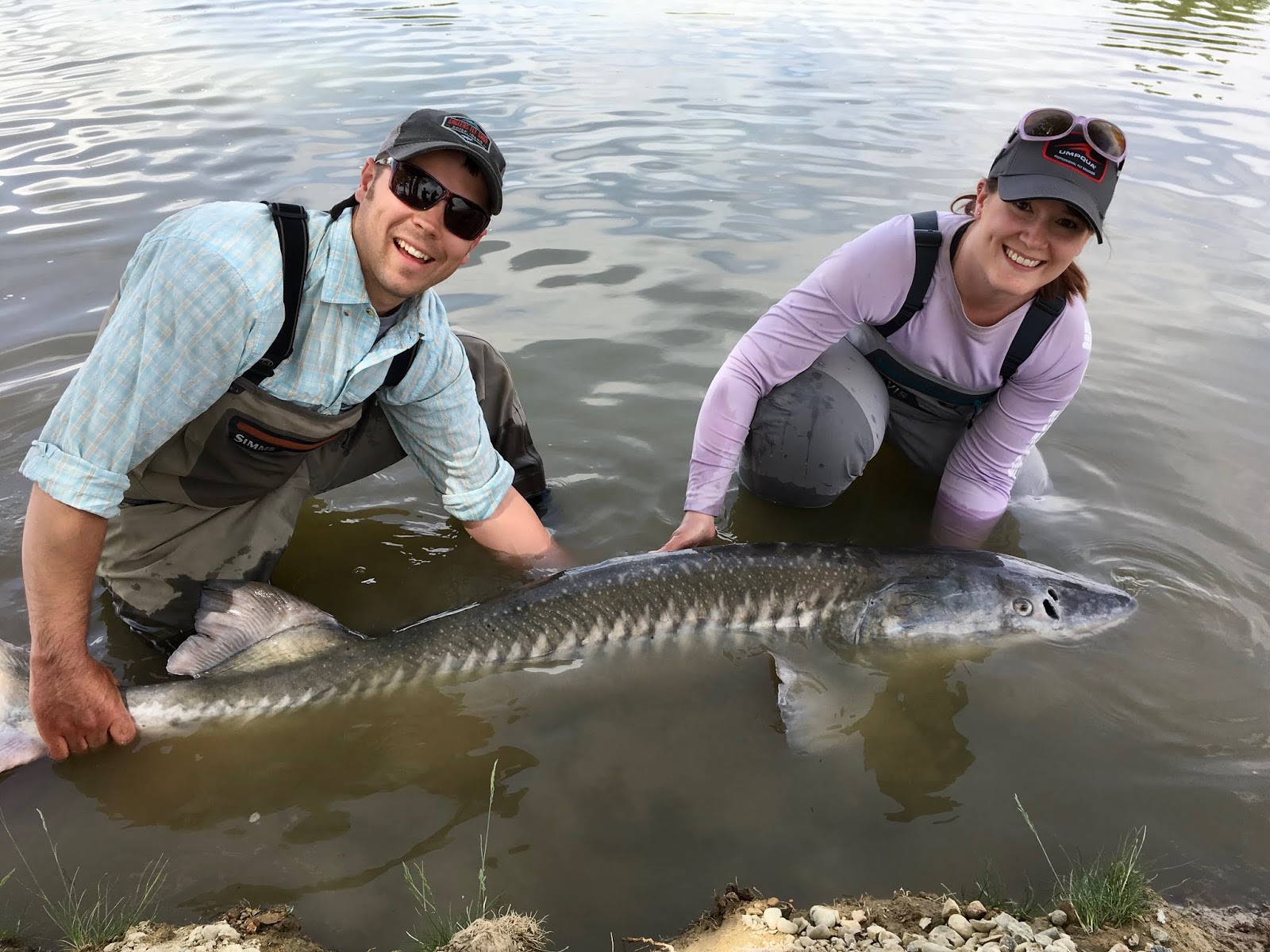 Ryan’s Fly Fishing and Hunting Blog: The Sturgeon Pond
