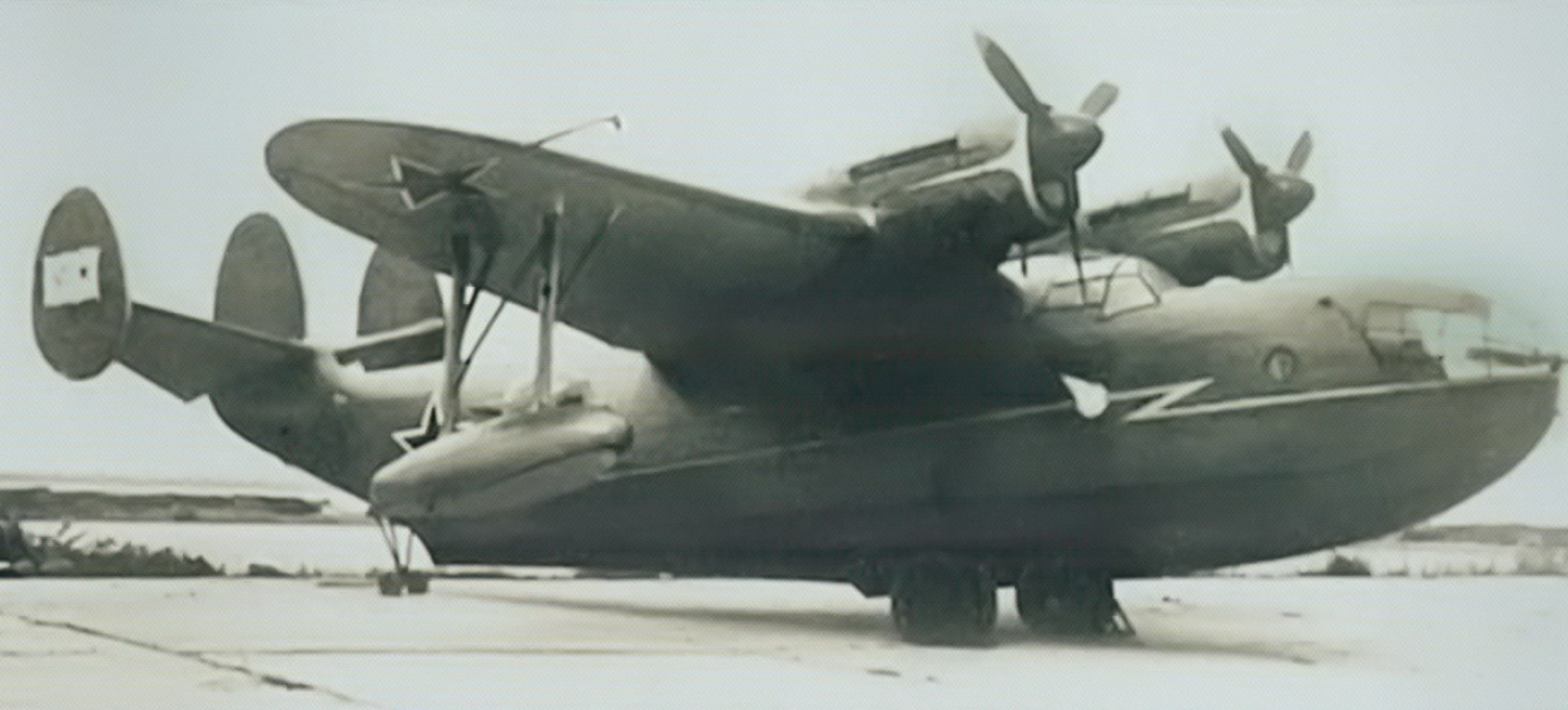 Beriev Be-6 "Madge" // Be-12 Tchaika "Mail".