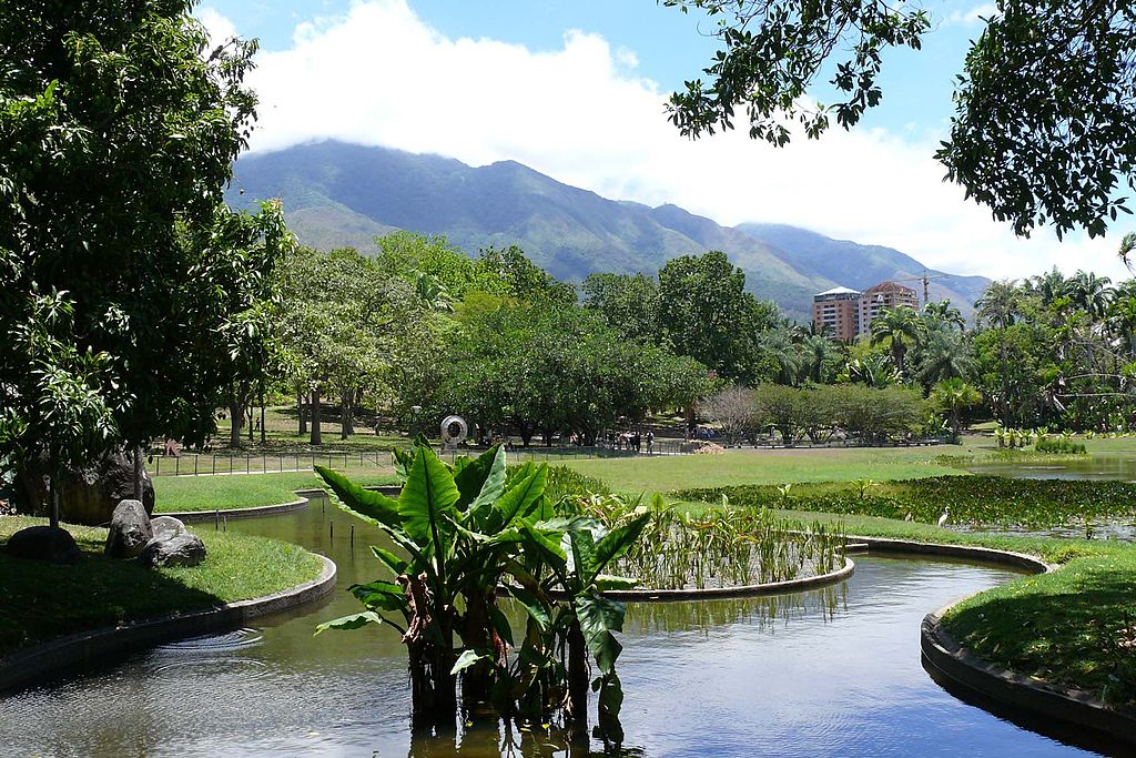 By @ZonArquitectur: Parque del Este_Caracas_Venezuela #Paisajismo