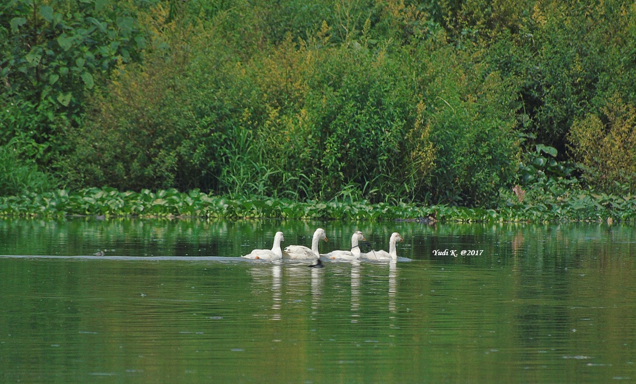 Menengok Kembali Situ Rompong