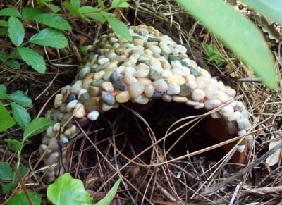 Two Men and a Little Farm: TOAD HOUSE DIY