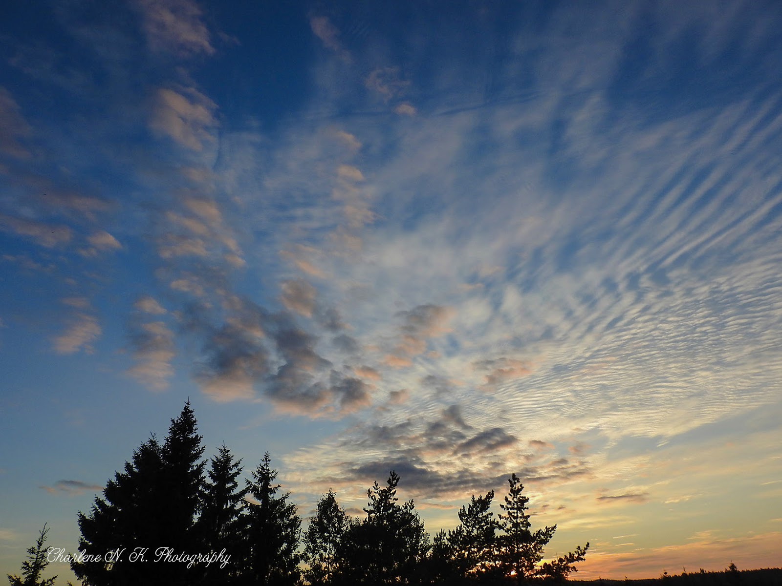 Fading Summer |Blissful Solitary Wanderings