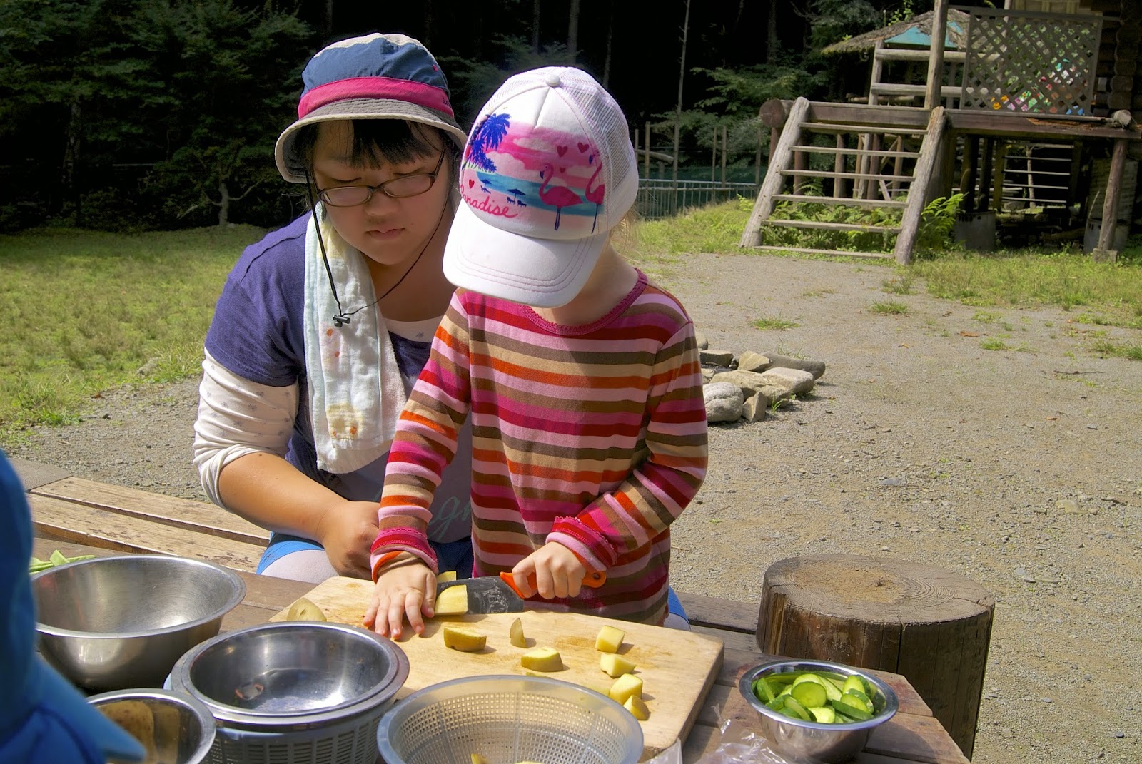 Hello Nippon: Family Edition: Choosing a Japanese Preschool