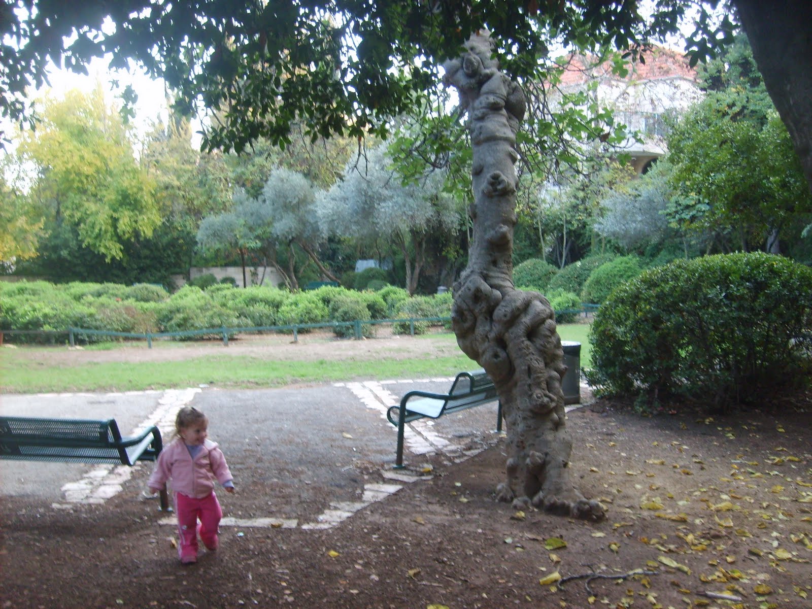 Walkable Jerusalem: Gan HaAgvaniya (Tomato Park), Old Katamon -- a ...