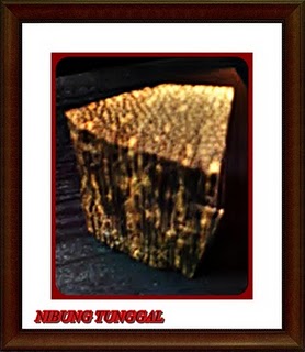 Kiosk Batu Cincin: CINCIN UNTUK SESEORANG PEMIMPIN