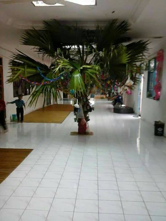 RedParrot: “RANYAI”