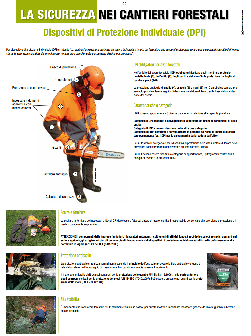 Forestali News : Video: Dispositivi di Protezione Individuale (DPI) nei ...