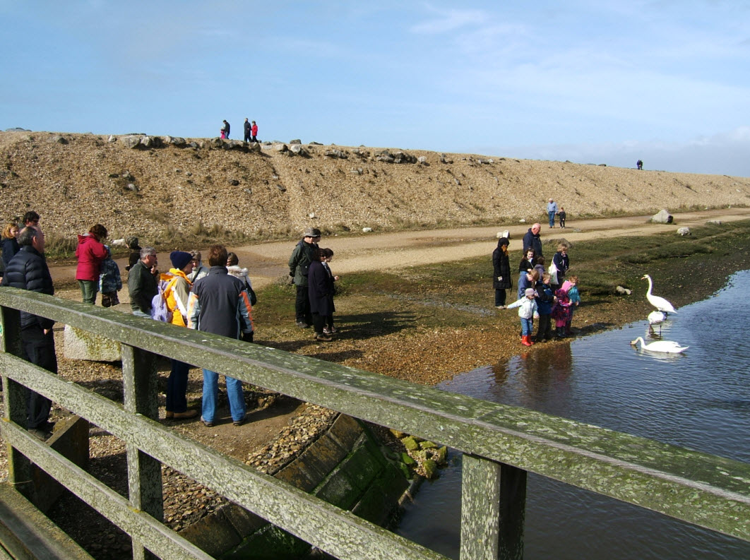 Enjoy Milford on Sea: Food Week Bird Walk