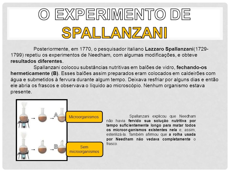 TEORÍA DE BIOGENESIS: TEORÍA DE BIOGENESIS