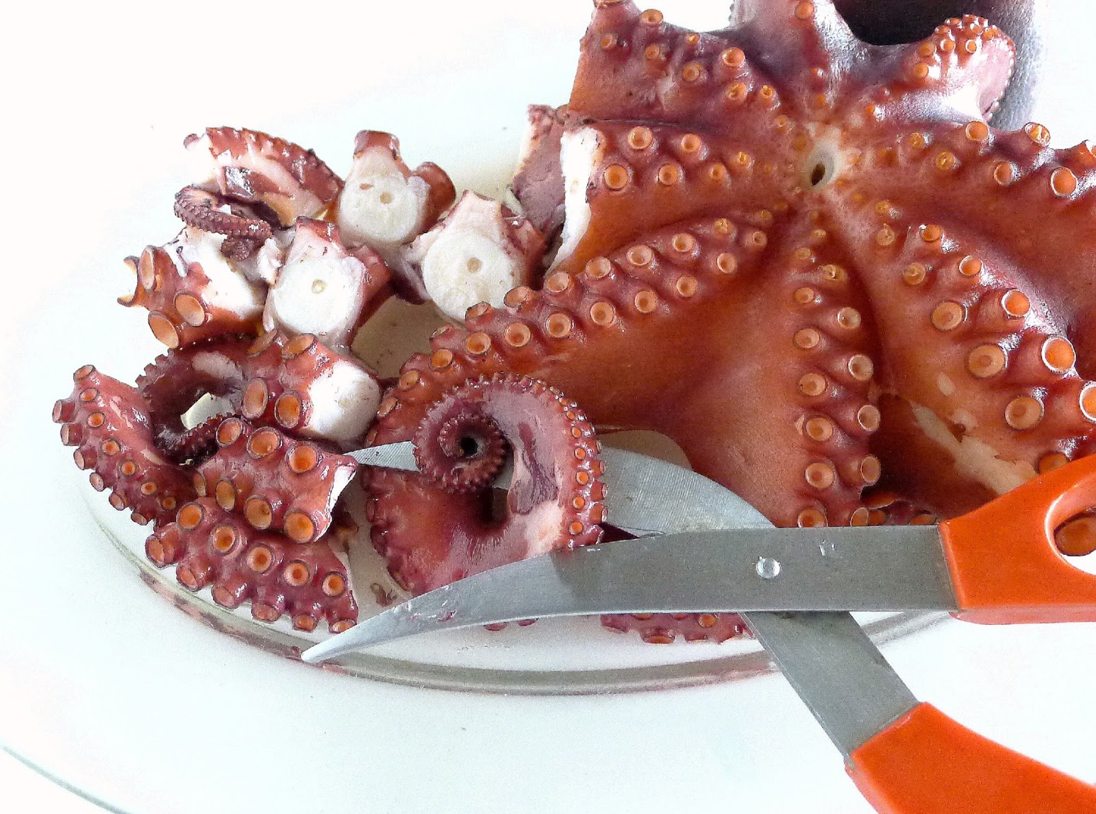 MY KITCHEN IN SPAIN: YET MORE TENTACLE ADVENTURES—OCTOPUS