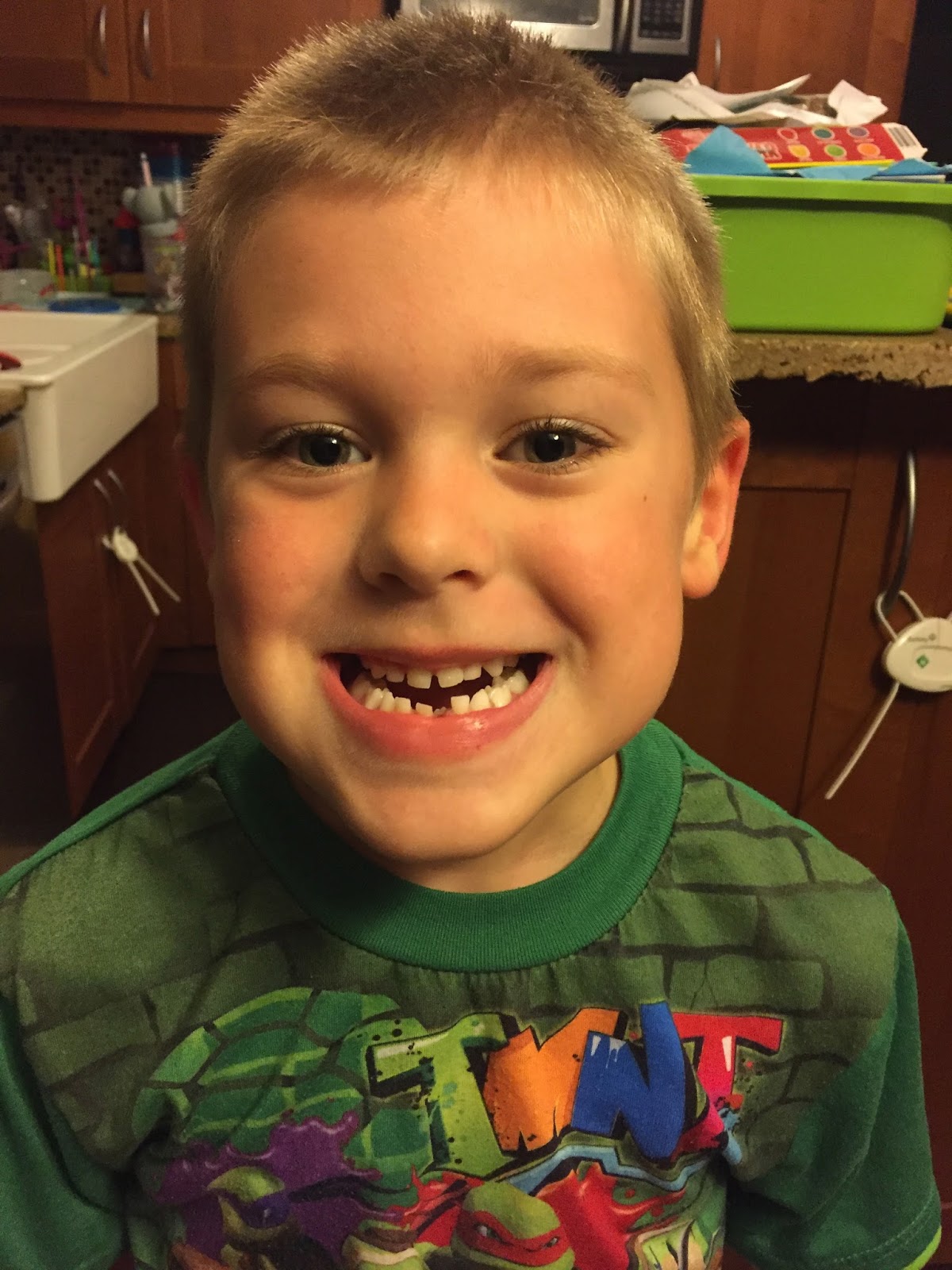 The Miller Family Tooth Fairy the-miller-family-tooth-fairy