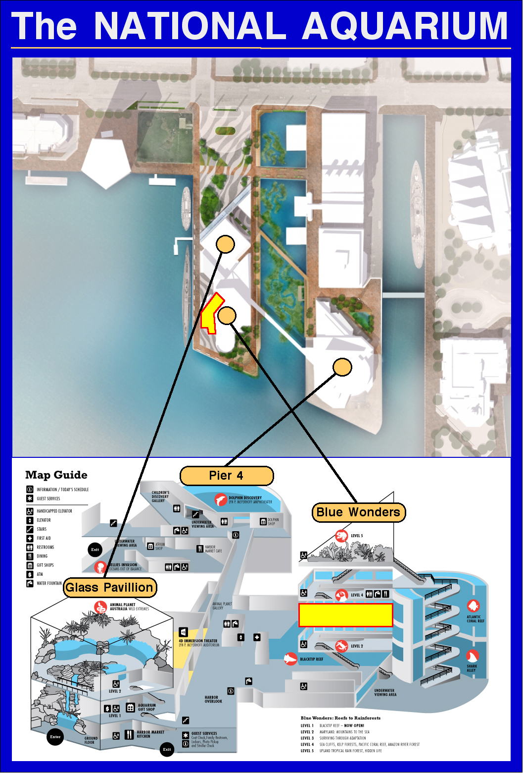 Randuwa II: National Aquarium: Living Seashore and Surviving Through ...