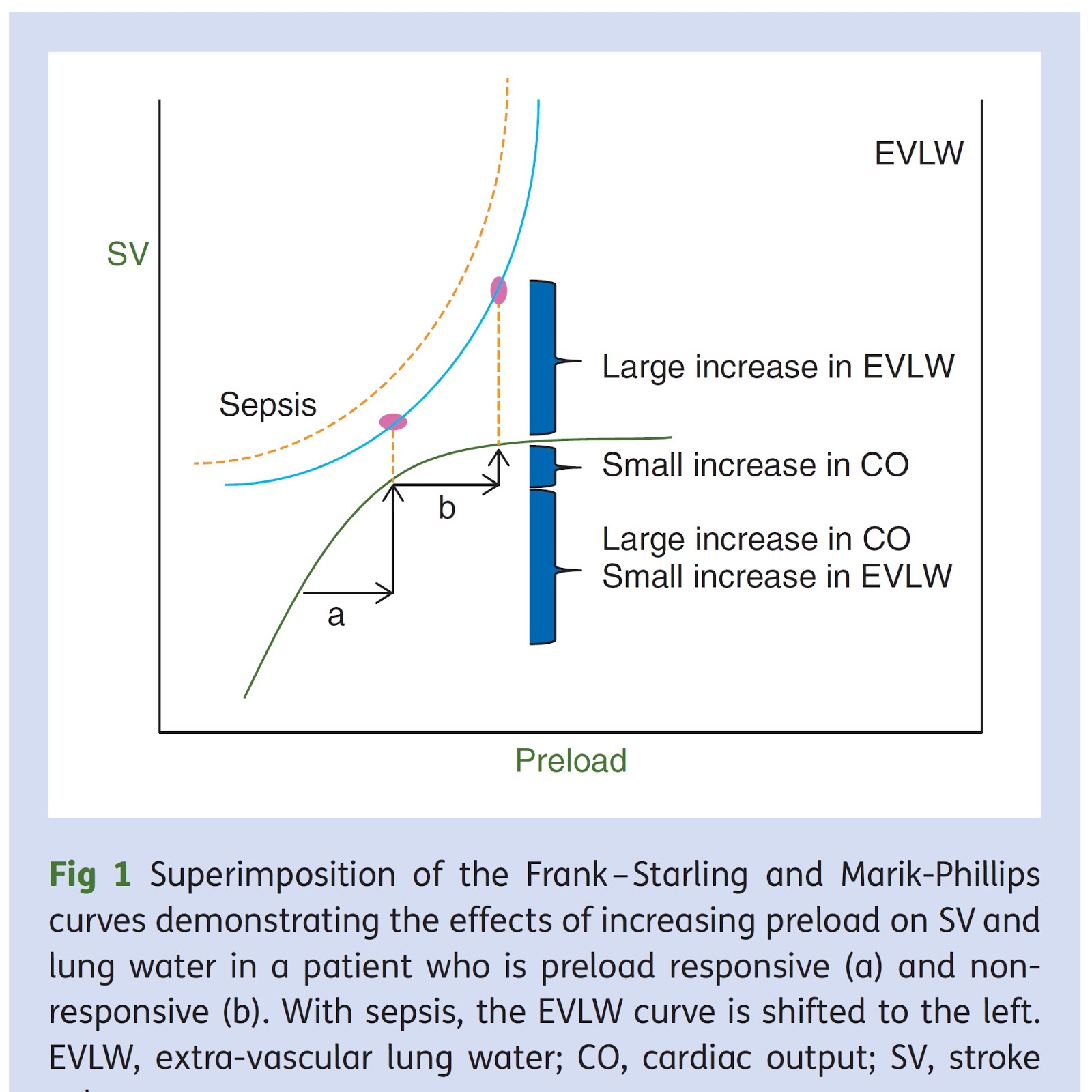 松下 ER ランチ・カンファレンス: Marik-Phillips曲線