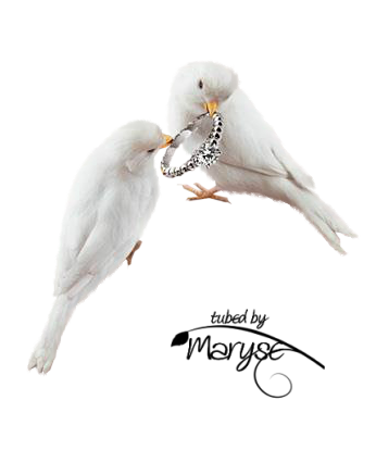 PSP Tubes & créations de Maryse: Tubes Mariage